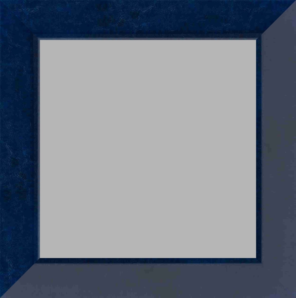 dark blue rectangle frame