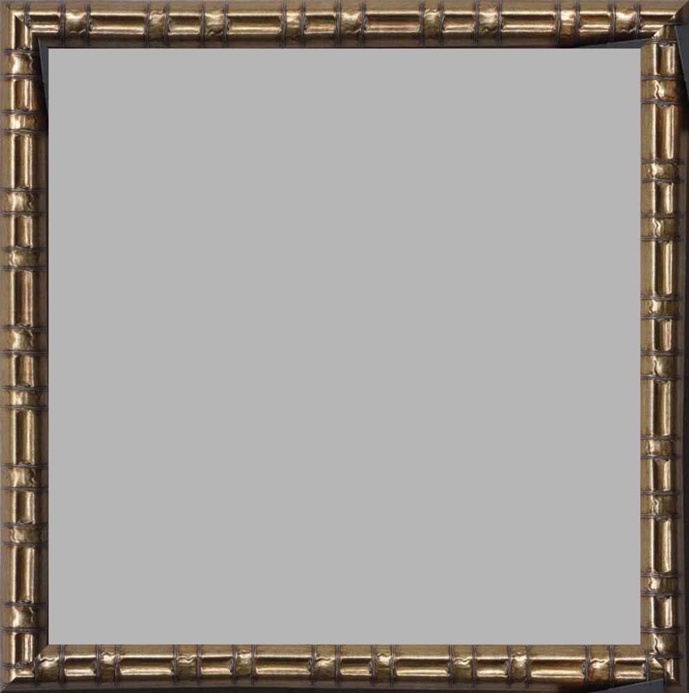 bamboo frame